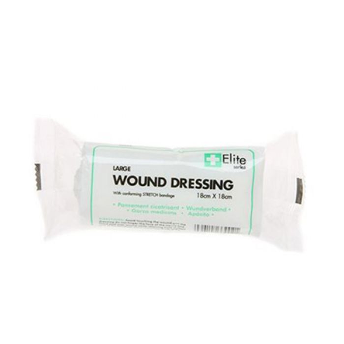 No 9 Large Dressing - AUK Hygiene
